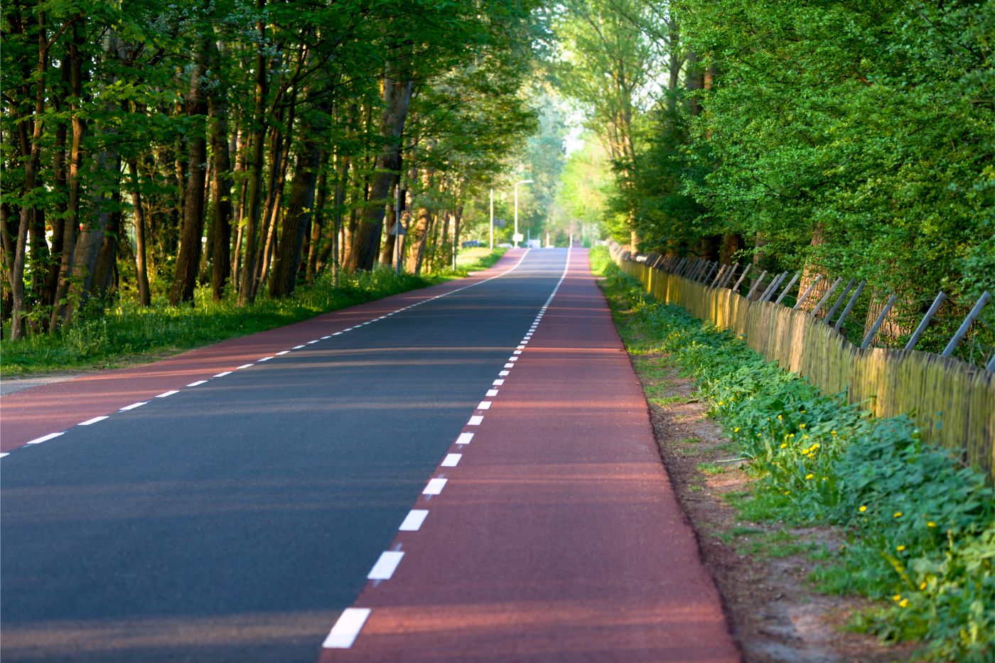 The World's Smoothest Rides: 9 Countries with the Best Quality Roads