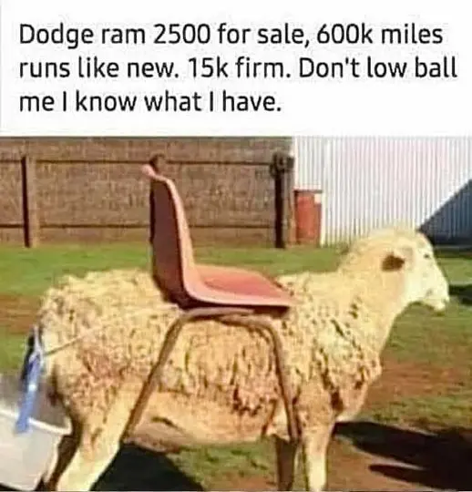 44 Simply Brilliant Pickup Truck Memes